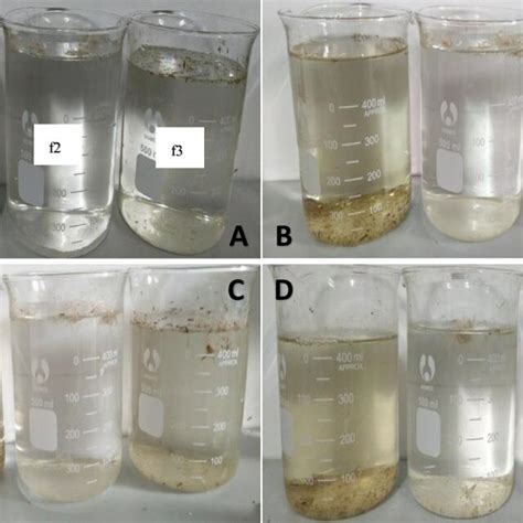 Sem Micrographs Of The Raw Banana Leaf Fiber A Modified Banana Leaf
