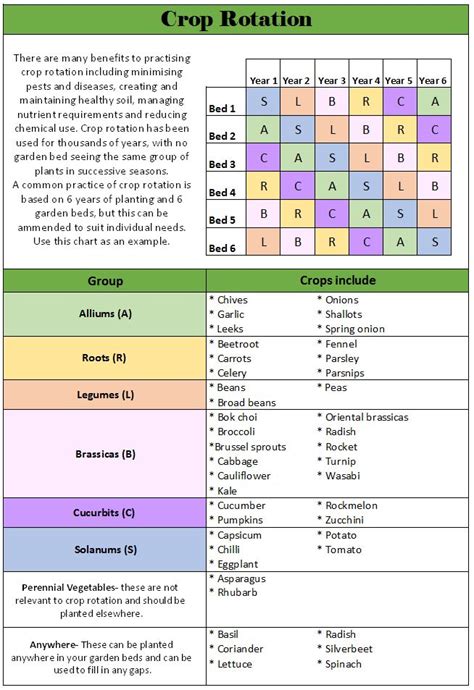 Crop Rotation Plants Direct Tas