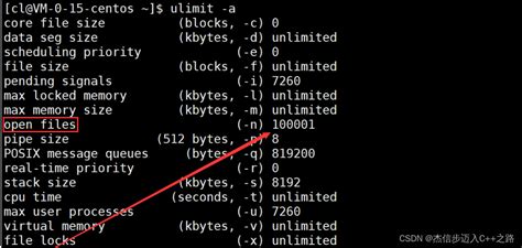 【linux】io多路转接——select接口 Csdn博客