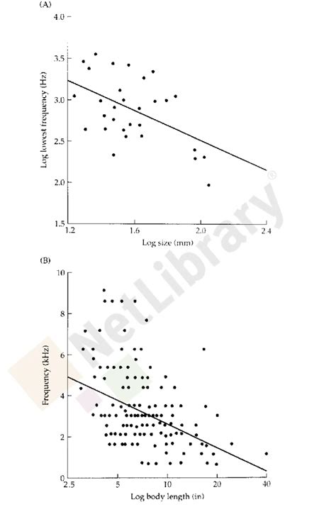 Relationship Between Body Size And A The Logarithm Of The Lowest Download Scientific