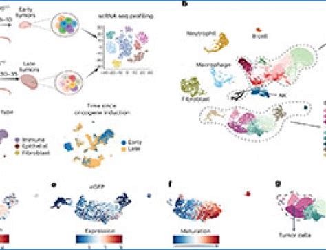 Transcriptome Sequencing Uncovers Altered Long Intergenic Non Coding Rnas Rna Seq Blog