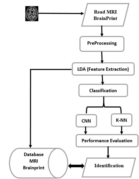 human identification from mri brainprint download scientific diagram