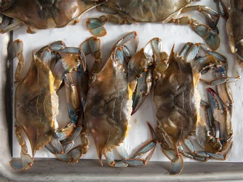 How To Clean Soft Shell Crabs Artofit