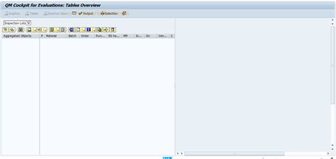 QGA SAP Tcode General QM Evaluations