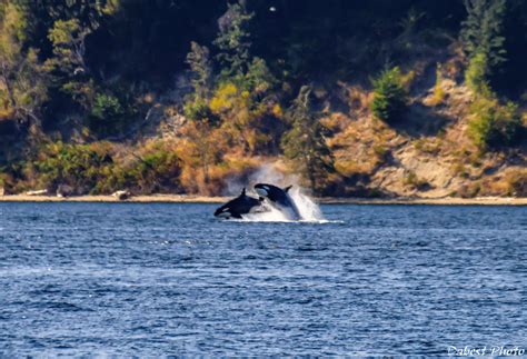 Komo News Komo News Added A New Photo
