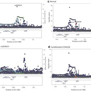 Conditional Analysis For The Locus Containing Index SNPs Rs2078371 And
