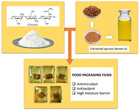 Apricot Encyclopedia Mdpi