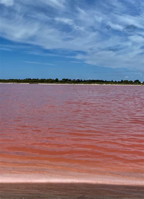 Salins Roses Camargue France Inspiration Pour Les Voyages Camargue