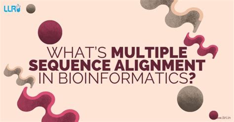 What S Multiple Sequence Alignment In Bioinformatics Methods And Applications
