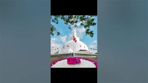 වන්දනා කරමු සියලුම පිළිකා රෝගීන් සුවපත් වේවා 💯🙏🙏 Srilanka Buddha Youtube