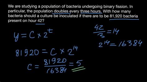 Nikolays Genetics Lessons On Linkedin Bacteria Binary Fission