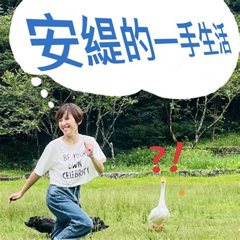 安緹的一手生活 Podcast Platforms Flink By Firstory