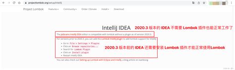 intellij idea 2020 3 及以上版本使用lombok plugin插件（官方说法） idea的2020版本需要的lombok