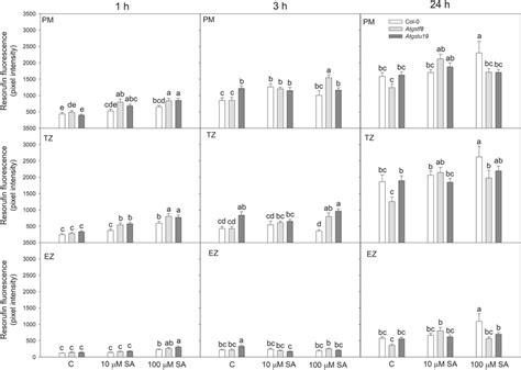 The Hydrogen Peroxide Dependent Fluorescence Resorufin Fluorescence