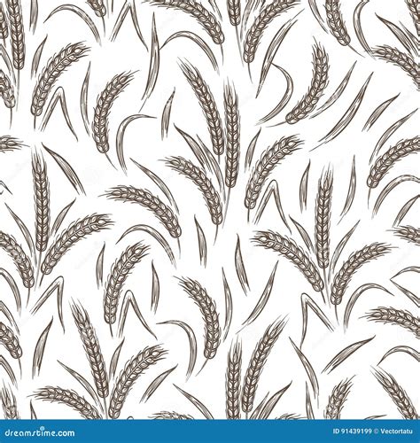 Wheat Seamless Pattern Vector Print Design Nature Background With