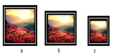 The 2dwavelet Packet Using The Haar And Entropy Methods A Wavelet Download Scientific Diagram