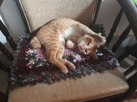 Jkb3 Important Shortcut Keys System Ctrla Select All Ctrlc