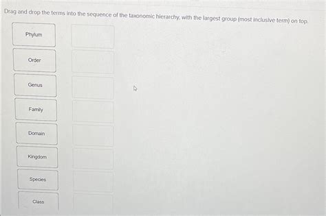 Solved Drag And Drop The Terms Into The Sequence Of The