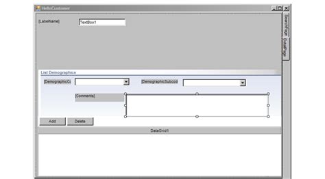 Application Designer Exercise Adding Controls To A Groupbox