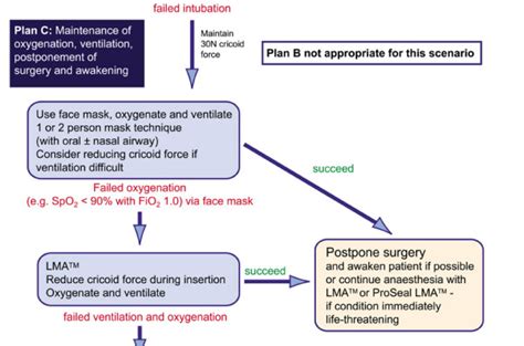 Intubation Guidelines Rapid Sequence Induction Not Superseeded By