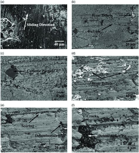 Surface Morphology Of Worn Specimen A Fg01 Indicating Grooves Along