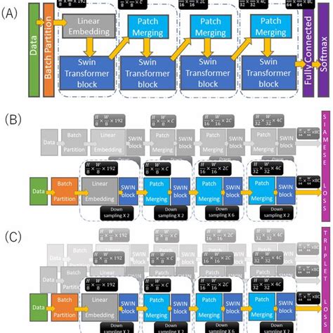 Siamese And Triplet Networks Are Used To Estimate Expression Intensity Download Scientific