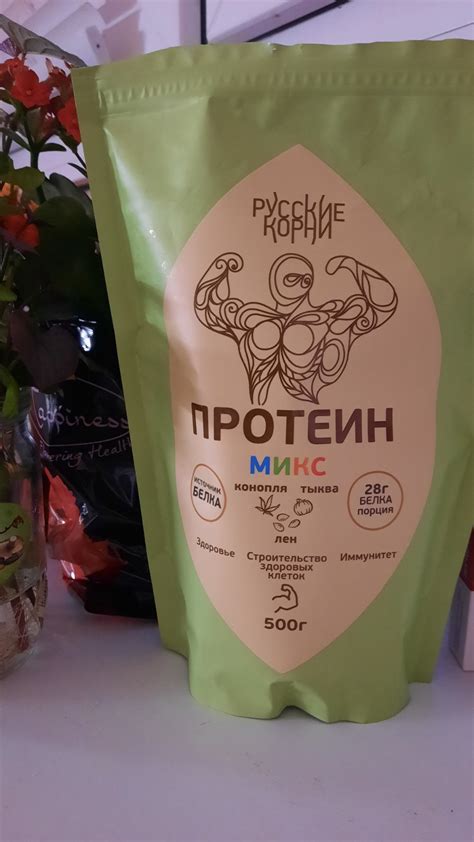 Протеин Микс "Тыква, конопля, лен". Источник белка, спортпит, 500 г