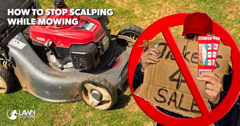 How to Stop Scalping While Mowing - Lawn Solutions Australia