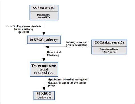 Selection Of Data And Analysis Workflow Download Scientific Diagram