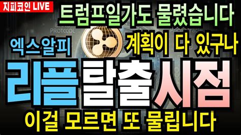 리플 Xrp 대응전략 리플 전망 💥 리플 탈출시점 트럼프일가도 물렸습니다 계획이 다 있구나 이걸 모르면 또 물립니다 Youtube