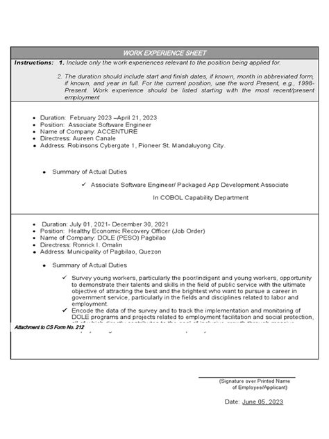 Work Experience Sheet Pdf