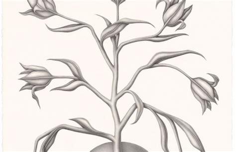 Juxtapoz Magazine Mirrors Twins And Opposites An Interview With