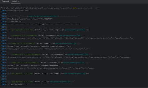 Configuring Spring Boot Applications With Maven Profiles Geeksforgeeks