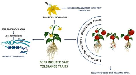 Plants Mdpi On Linkedin Plantsmdpi