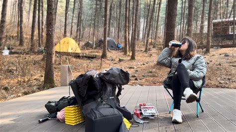 백패커 입문호명산 잣나무숲 고양이 커플 Youtube