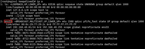 Nginx 使用 Keepalived 搭建 Nginx 高可用