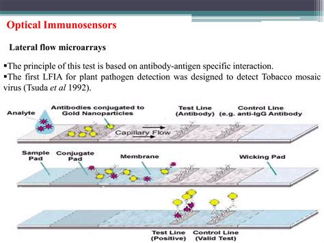 Detectionofplantpathogen 200311165408 Pdf