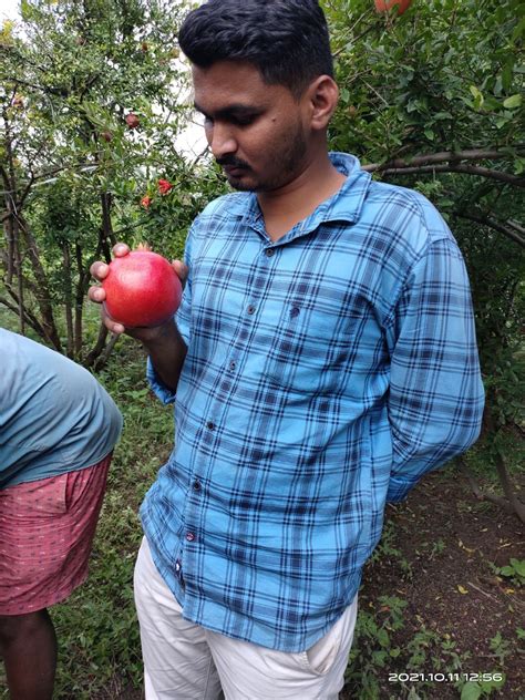 Akshay Mane On Linkedin Vegrow Fieldwork Chifuagritech Vegrowfarmnetwork Quality Fandv