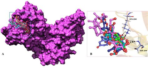Superposition Of Experimental Tested Steroids And Identified Best Hit