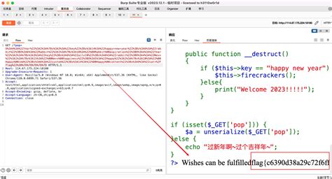 bugku ctf 兔年大吉2（php反序列化） 知乎