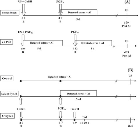 Synchronization Of Estrus Or Ovulation In Dairy Cows With A Extended