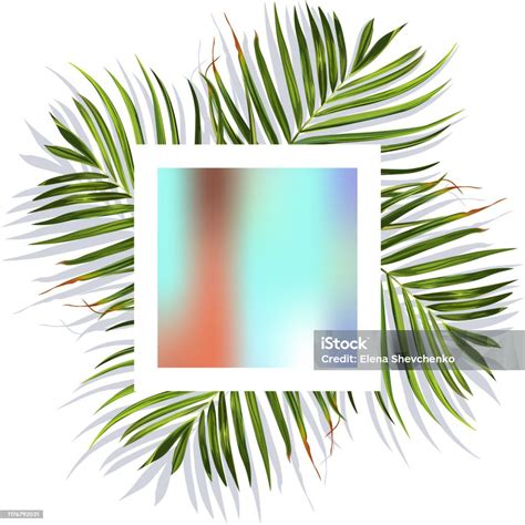 열대 꽃입니다 정글 야자수와 열대 배경입니다 벡터 꽃 그림입니다 녹색 열대 꽃 배너입니다 0명에 대한 스톡 벡터 아트 및 기타 이미지 Istock