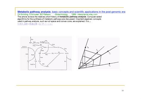 Metabolic Network Analysis Pdf Biological Sciences Science