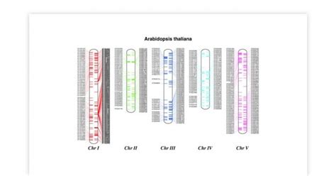 Open Source Free Bioinformatics Tools For Genomic Testing