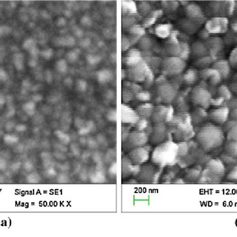 The Scanning Electron Micrograph Of The Surface Textured Of Zno Film Download Scientific
