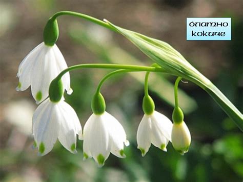 Образователен блог май 2013