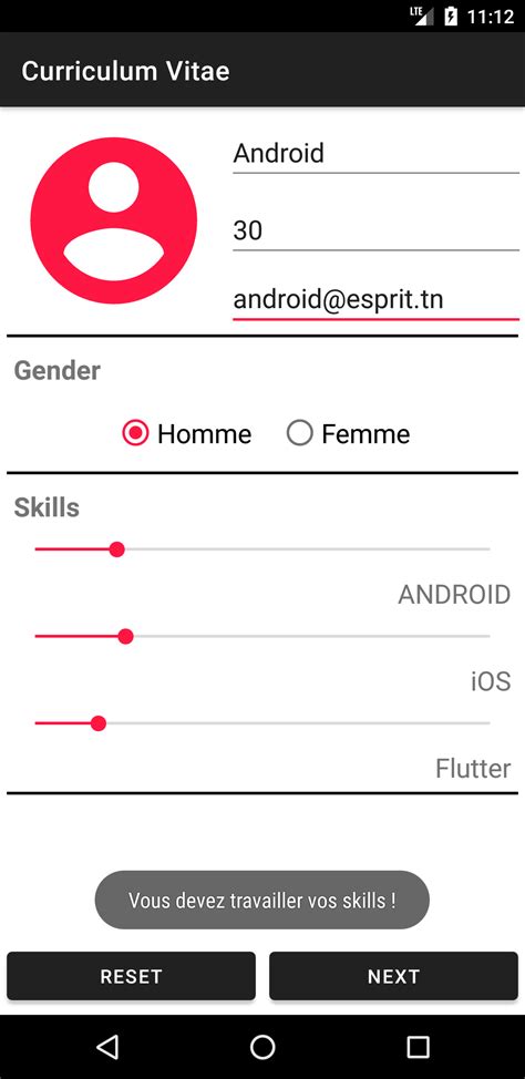 GitHub Fakhreddineghalleb Curriculum Vitae V1