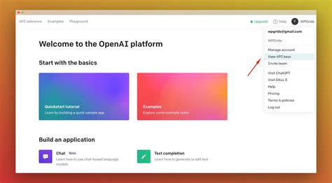 Activating The Plugin WP Wand