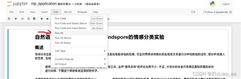 Nlp实验三：自然语言处理的应用——基于mindspore的情感分类实验mindspore文本分类情感分析 Csdn博客