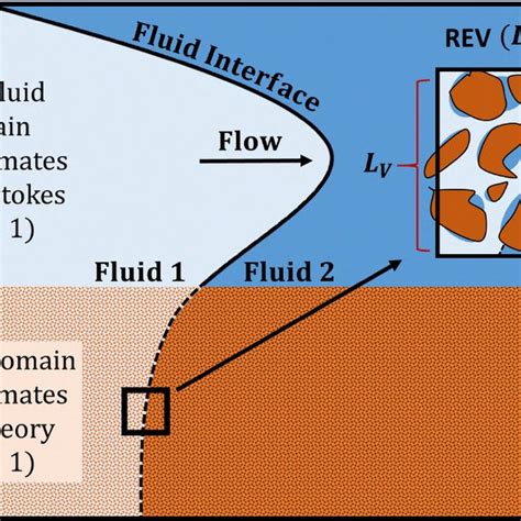 Pdf Modeling Multiphase Flow Within And Around Deformable Porous Materials A Darcy Brinkman